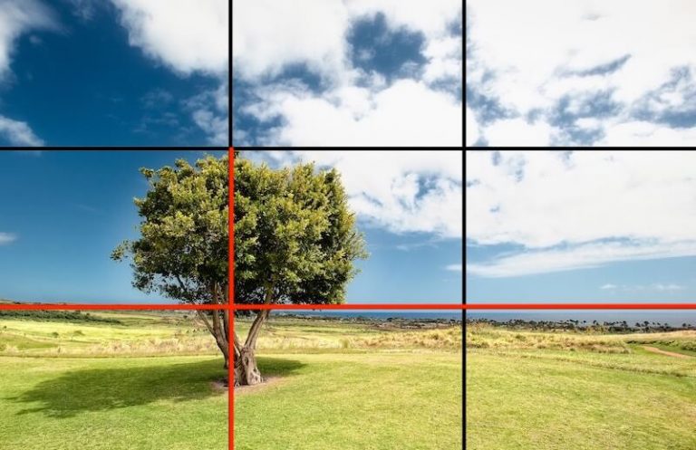 Photography Composition For Beginners: Shoot Like A Pro